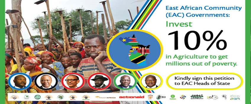 ESAFF – Official Website